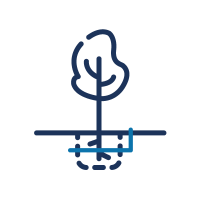 Kenniscentrum - Vergroening stedelijke omgeving | Wildkamp